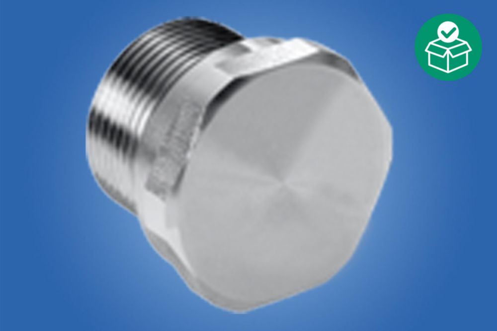 Stopping plug With hex head - 251102